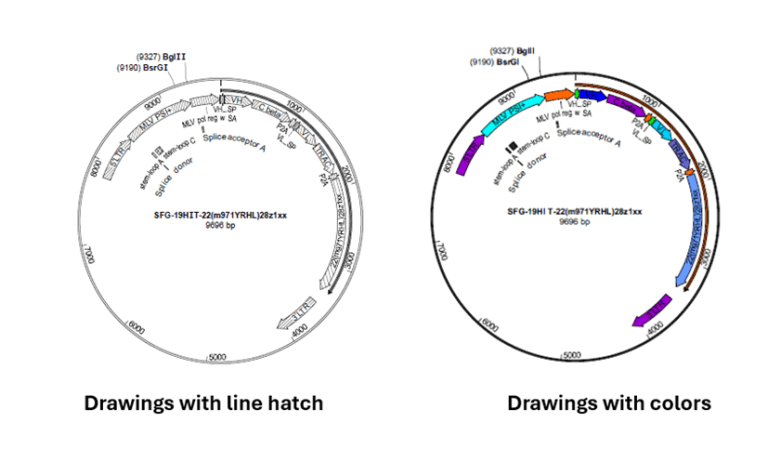 Color Drawings For European Patents: Key EPO Regulations